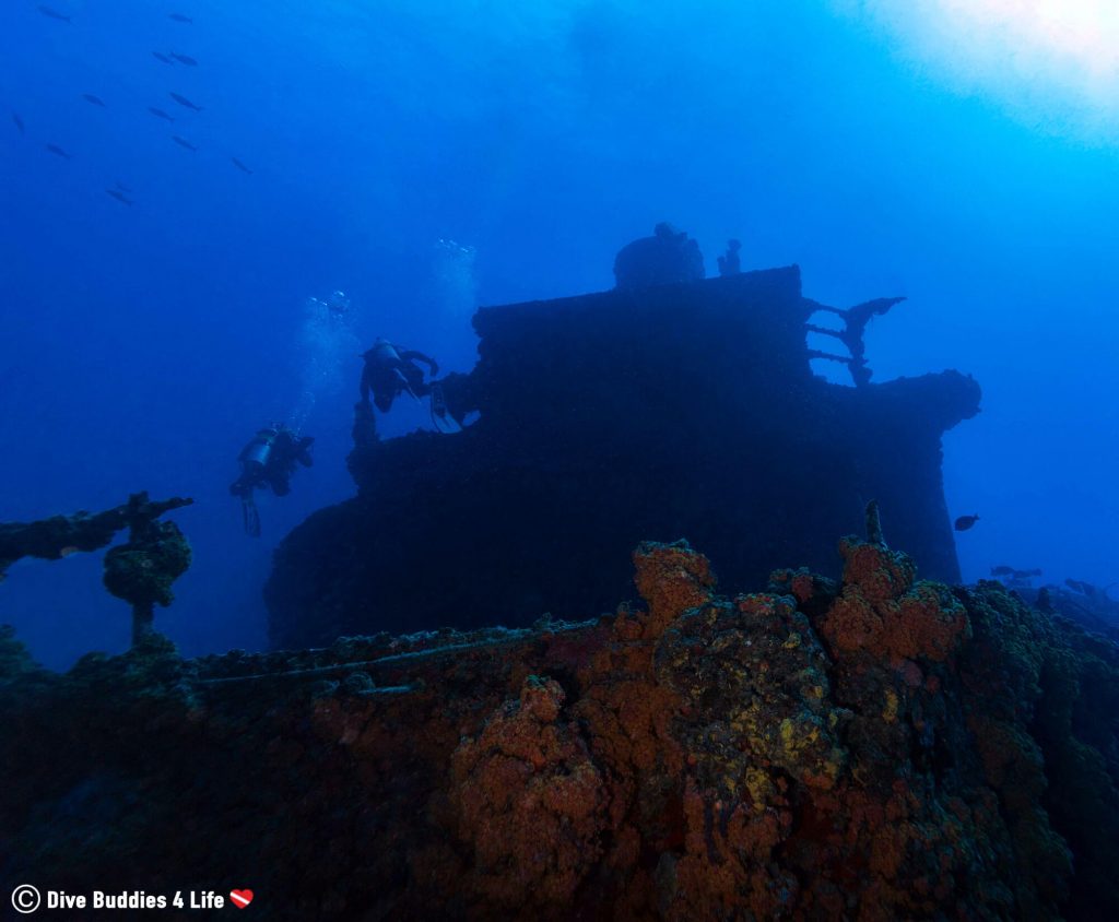 Scuba Diving Key Largo Florida | Dive Buddies 4 Life