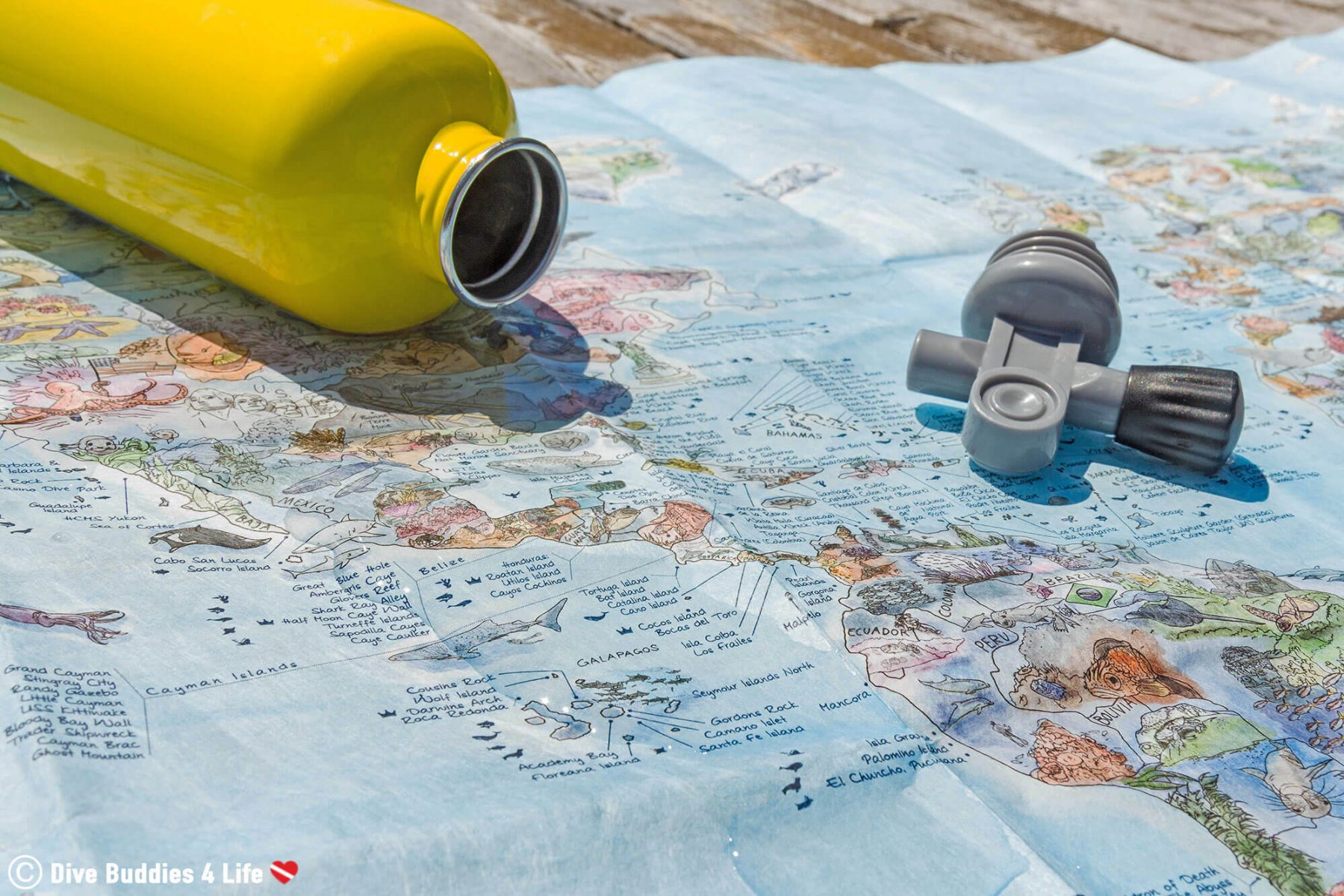 Where in the World do You Want to Dive? | Dive Buddies 4 Life