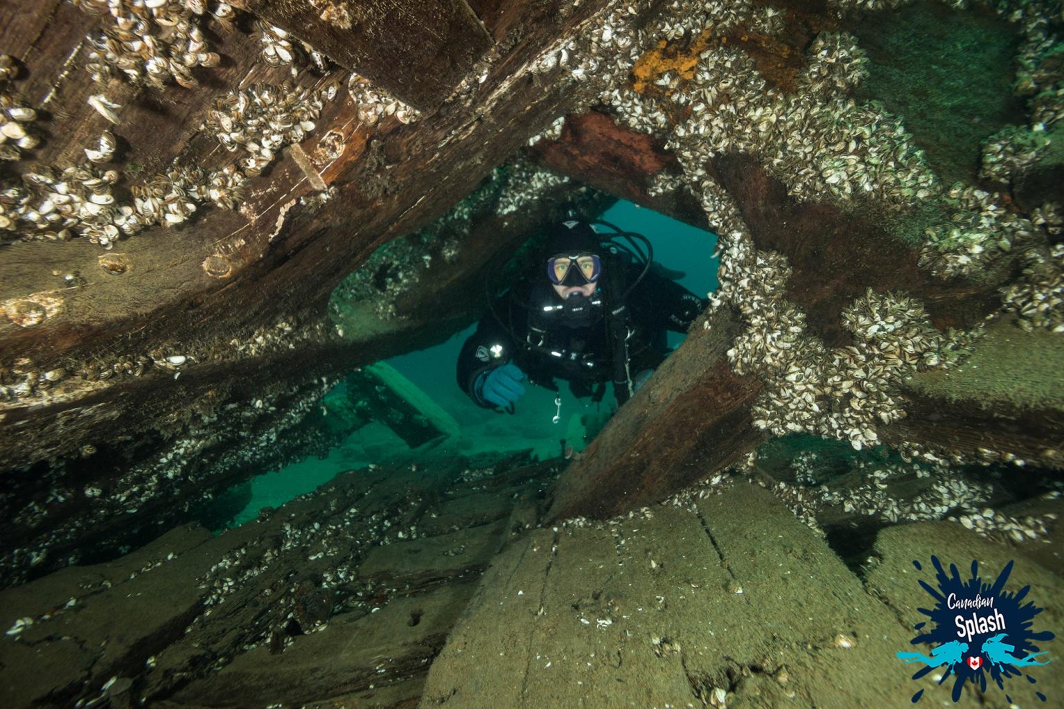 Canadian Splash: Scuba Diving in Tobermory | Dive Buddies 4 Life